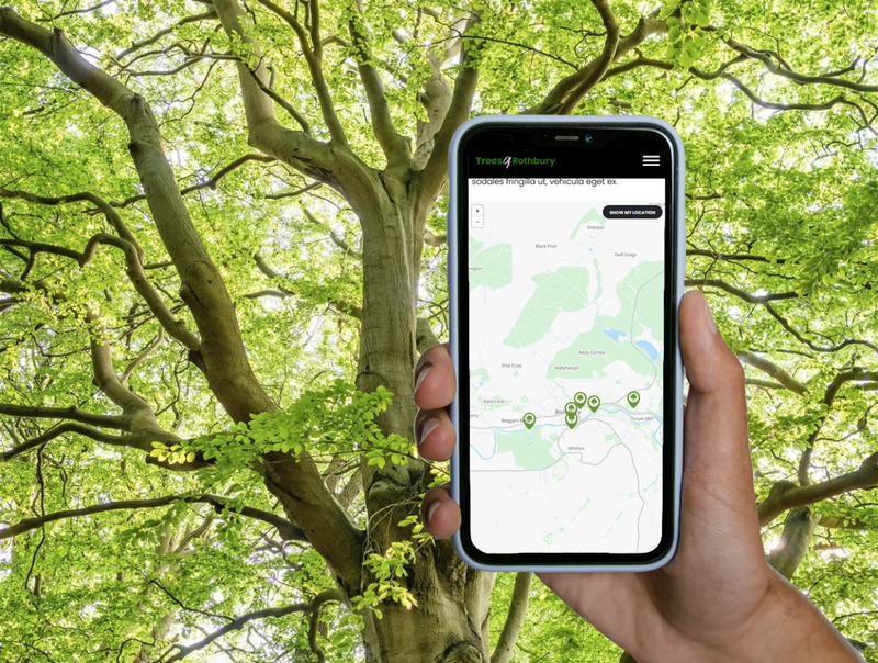 Rothbury Tree Trail - Interactive Map & Guide