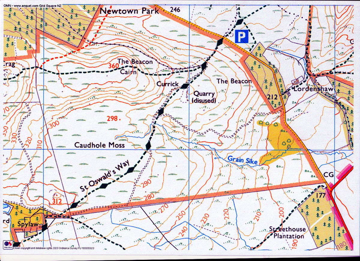 Getting Bogged Down in Bogs! - Rothbury Trees