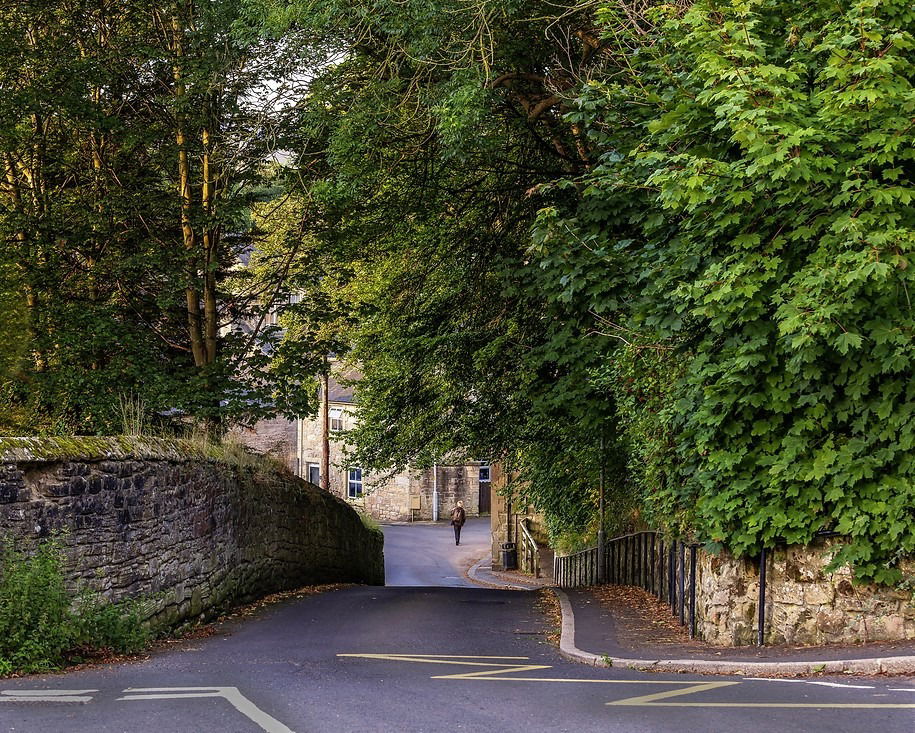 The Rothbury Tree Trail is 'so inspiring and joyful!' - Rothbury Trees