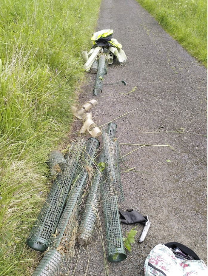 Tree Protection? Or a plastic menace? - Rothbury Trees