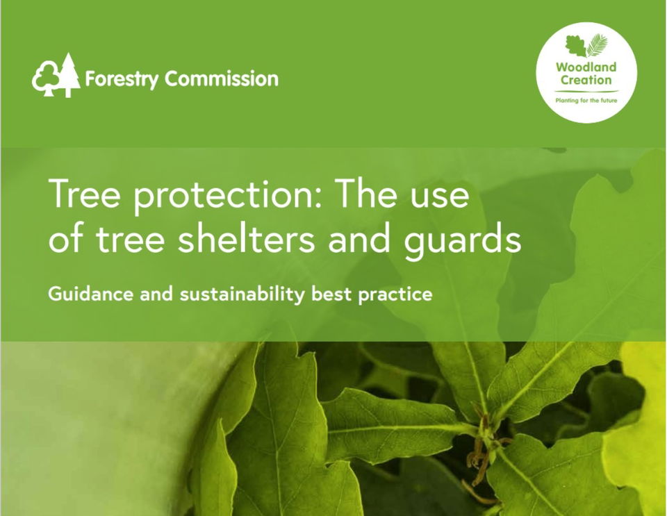Tree Protection? Or a plastic menace? - Rothbury Trees