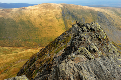 Guided Hikes - Trekking Tom