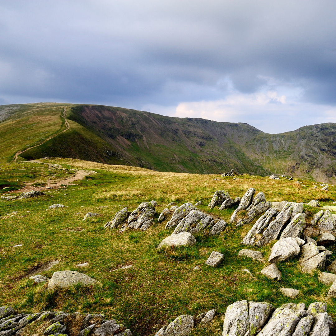 Fairfield Horseshoe Trekking Tom fairfield-horseshoe-trekking-tom