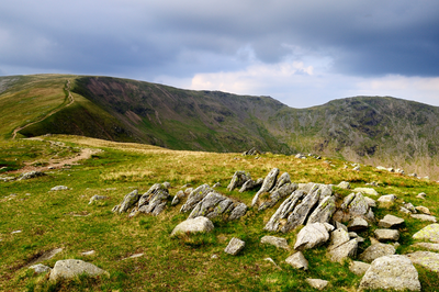 Guided Hikes - Trekking Tom